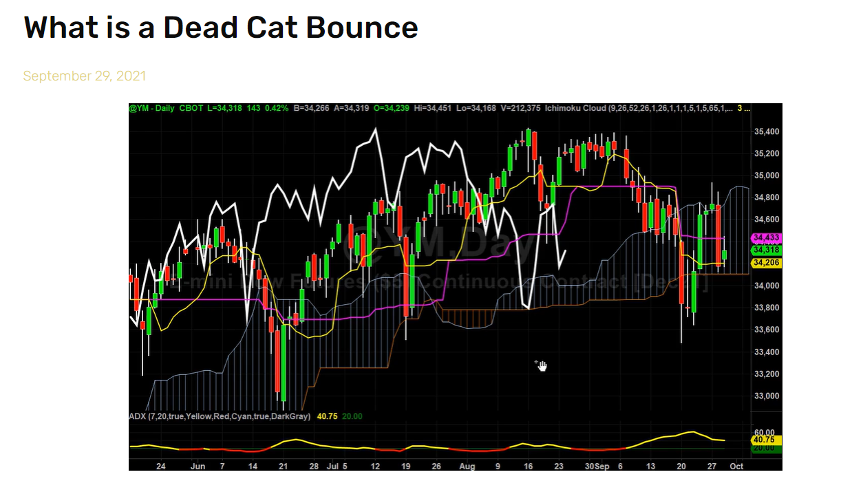 What is a Dead Cat Bounce - Hubert Senters
